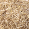 Home Page - Sundown Agri